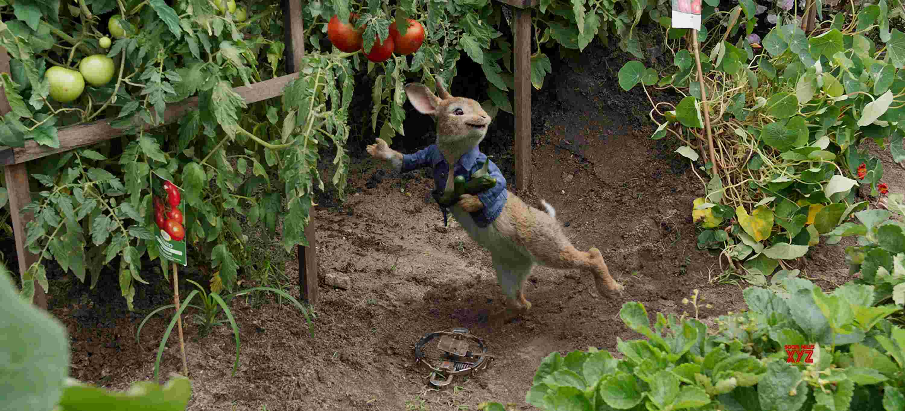 Peter Rabbit Movie Stills - Social News XYZ