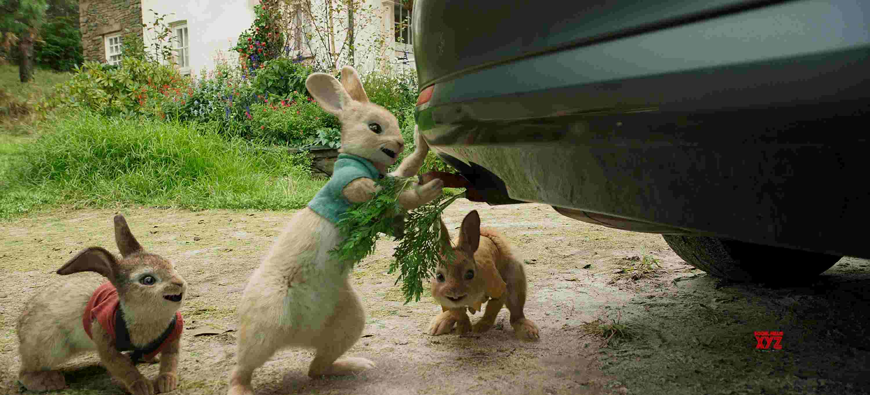 Peter Rabbit Movie Stills - Social News XYZ