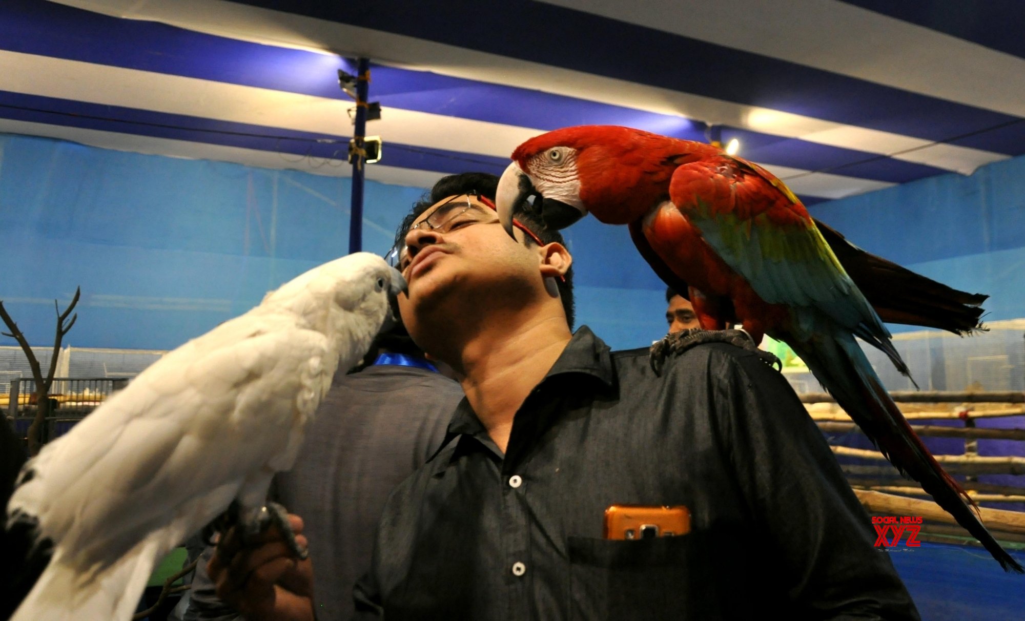 Kolkata: Bird Show #Gallery - Social News XYZ