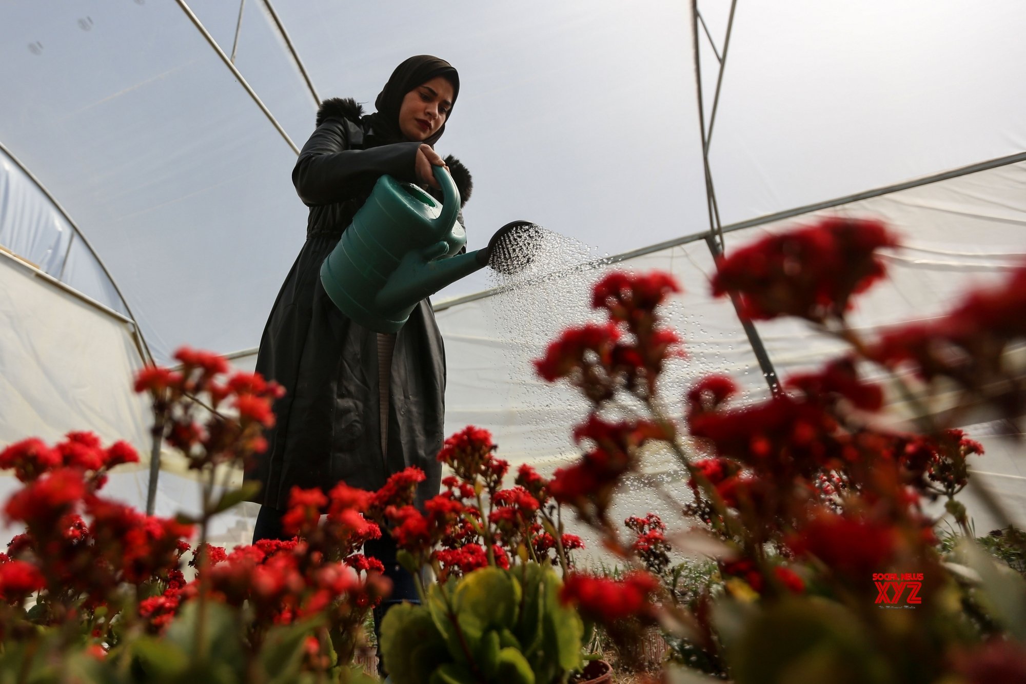 MIDEAST - GAZA - FLOWERS #Gallery - Social News XYZ