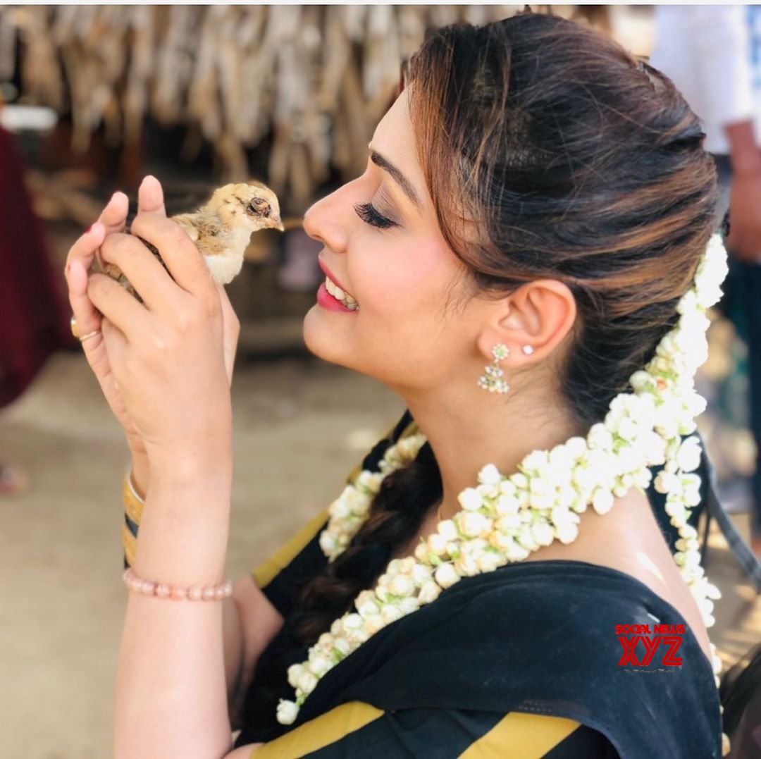 Actress Payal Rajput Latest Beautiful Stills - Social News XYZ