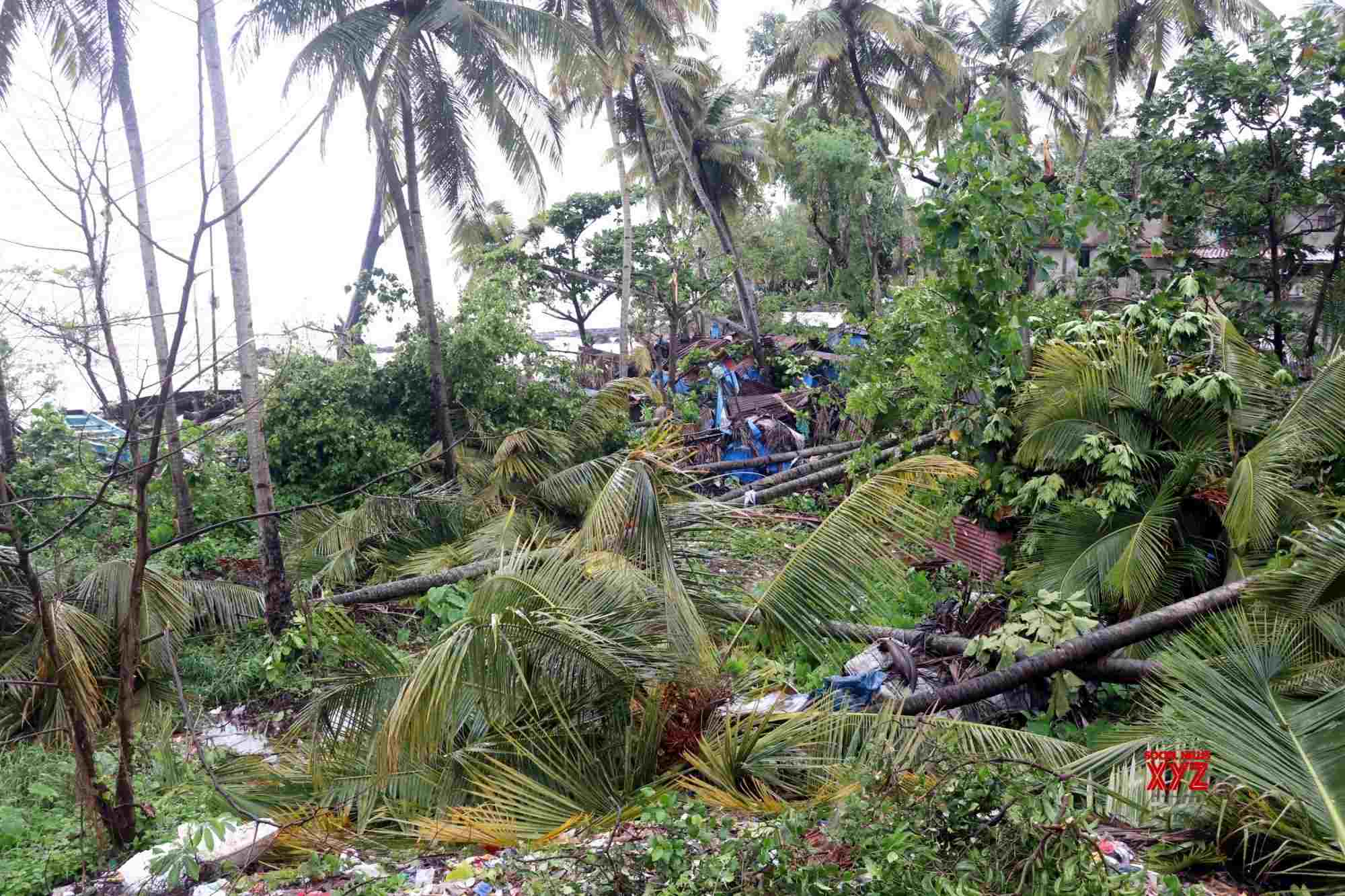 Taleigao: Rains, wind uproot trees, damage houses in Goa #Gallery ...