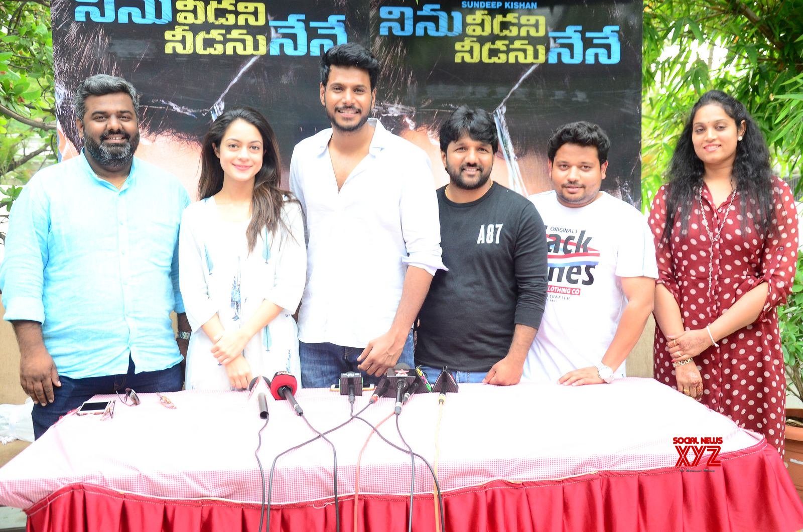 Ninu Veedani Needanu Nene Movie Success Celebrations Gallery - Social ...