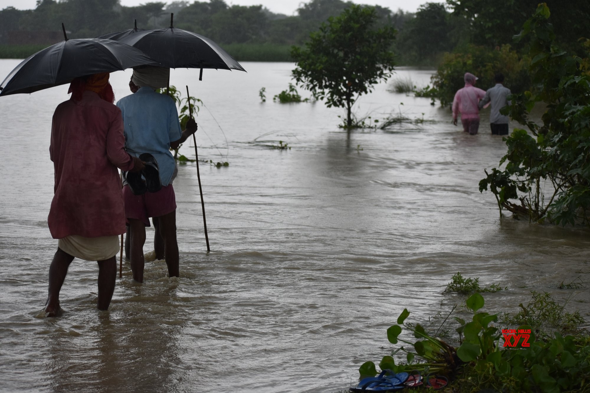 Forbesganj: Bihar Floods (Batch - 8) #Gallery - Social News XYZ