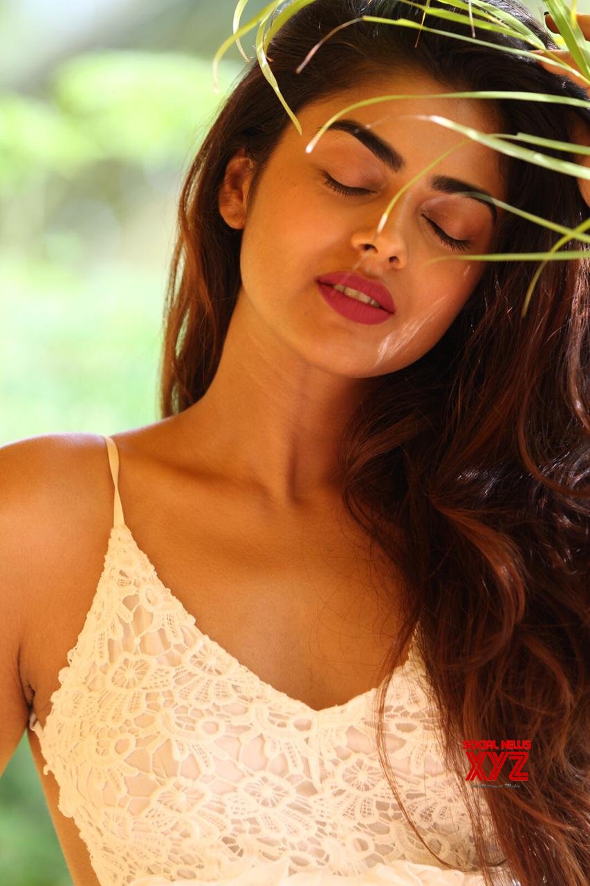 Actress Siddhi Idnani Hot New Stills - Social News XYZ