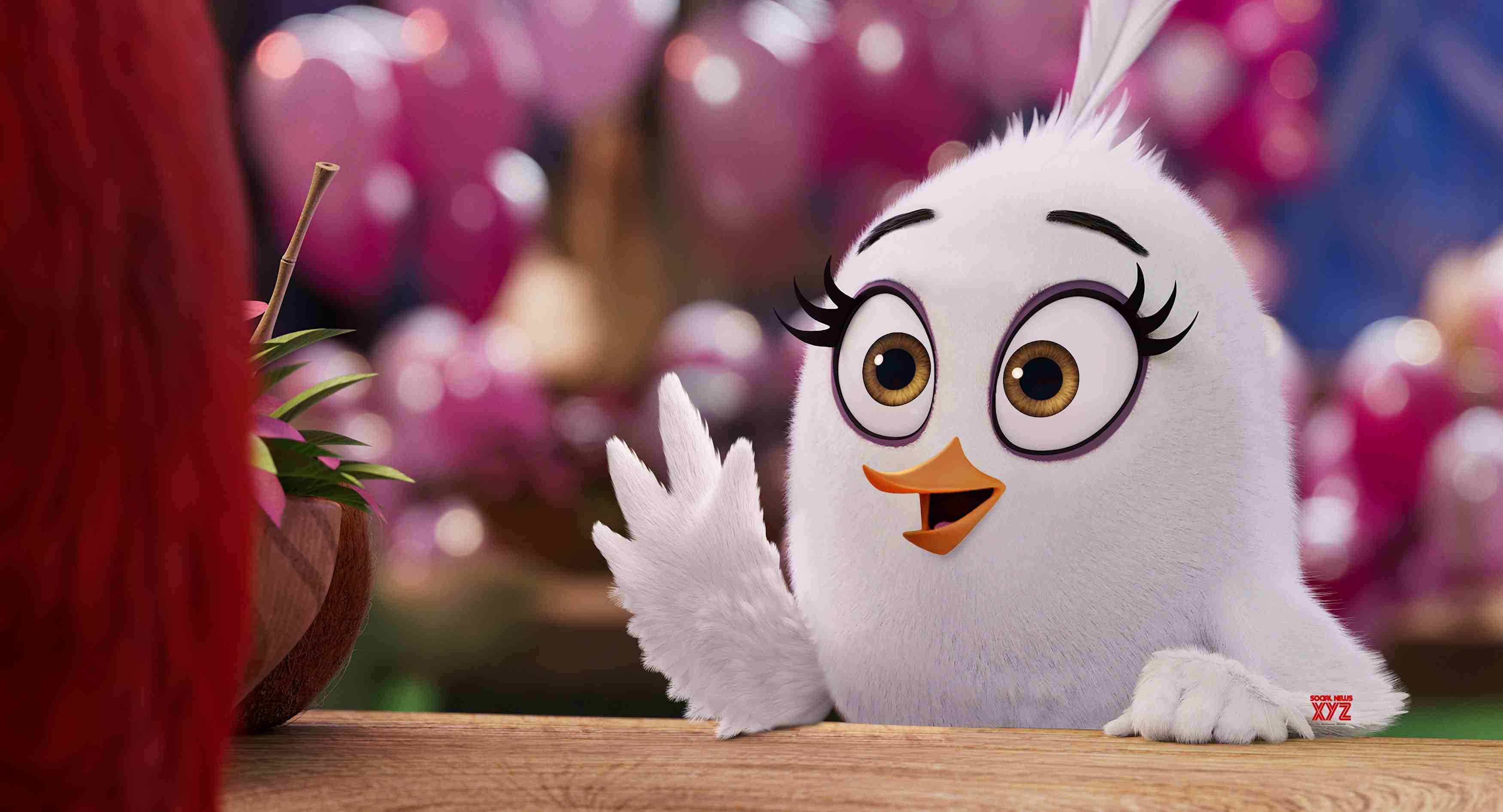 The Angry Birds Movie 2 Movie HD Stills Updated - Social News XYZ