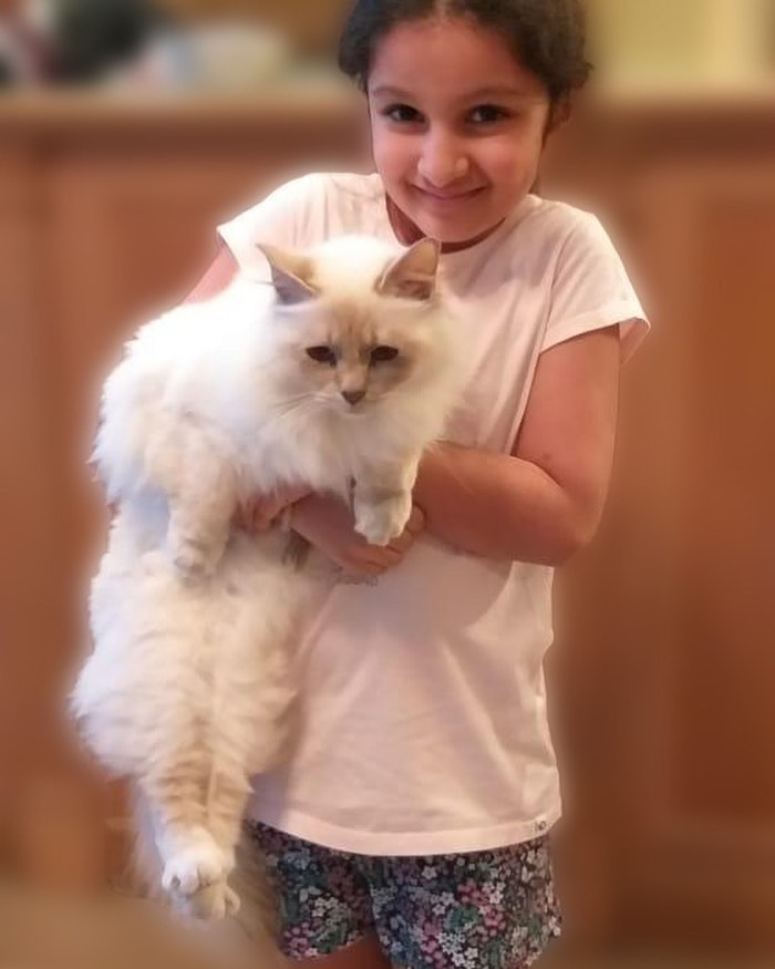 Mahesh Babu's Daughter Sitara Cute Still With Her Cat Cleo - Social ...