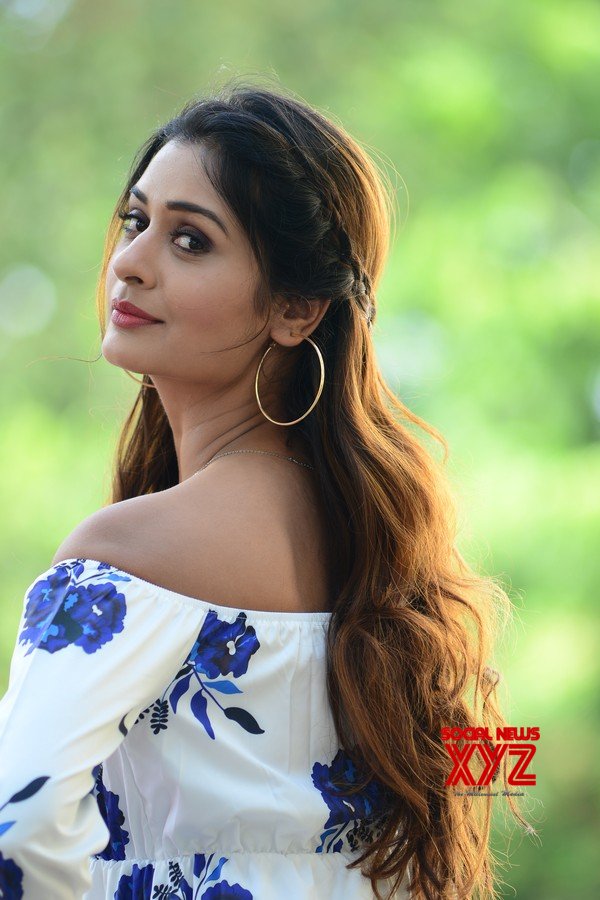 Actress Payal Rajput Stills From RDX Love Movie Trailer Launch - Social ...