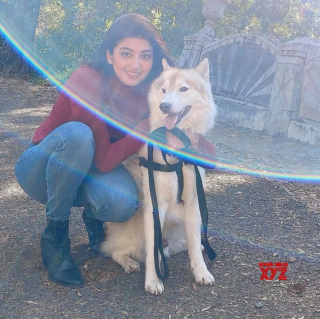 Actress Pranitha Subhash Latest Stills - Social News XYZ