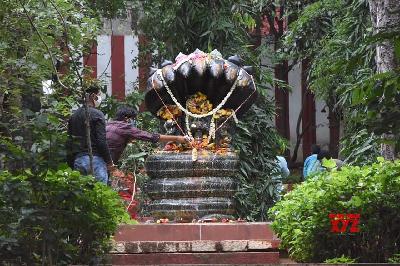 Bengaluru: Naga Panchami celebrations #Gallery - Social News XYZ