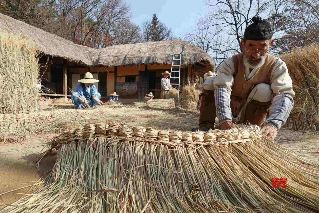 Yongin :Workers demonstrate how to make straw thatch for changing the ...