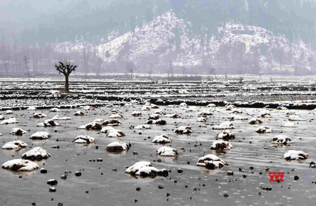 Baramulla: A view of an area during snowfall #Gallery - Social News XYZ