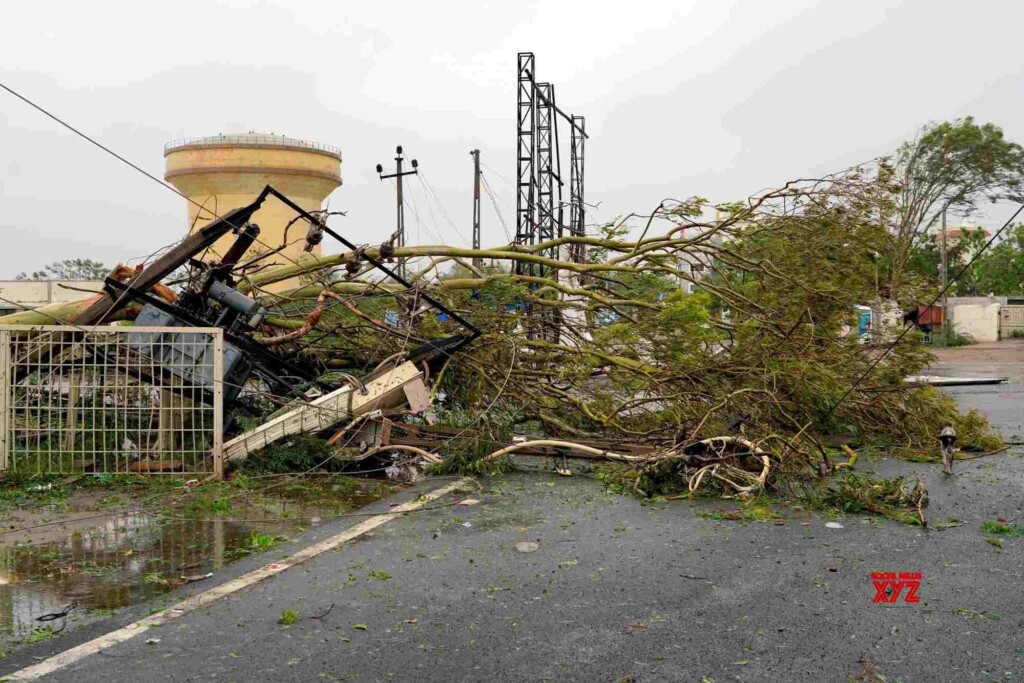 : Kutch : - A view of an uprooted tree that fell due to heavy rain ...